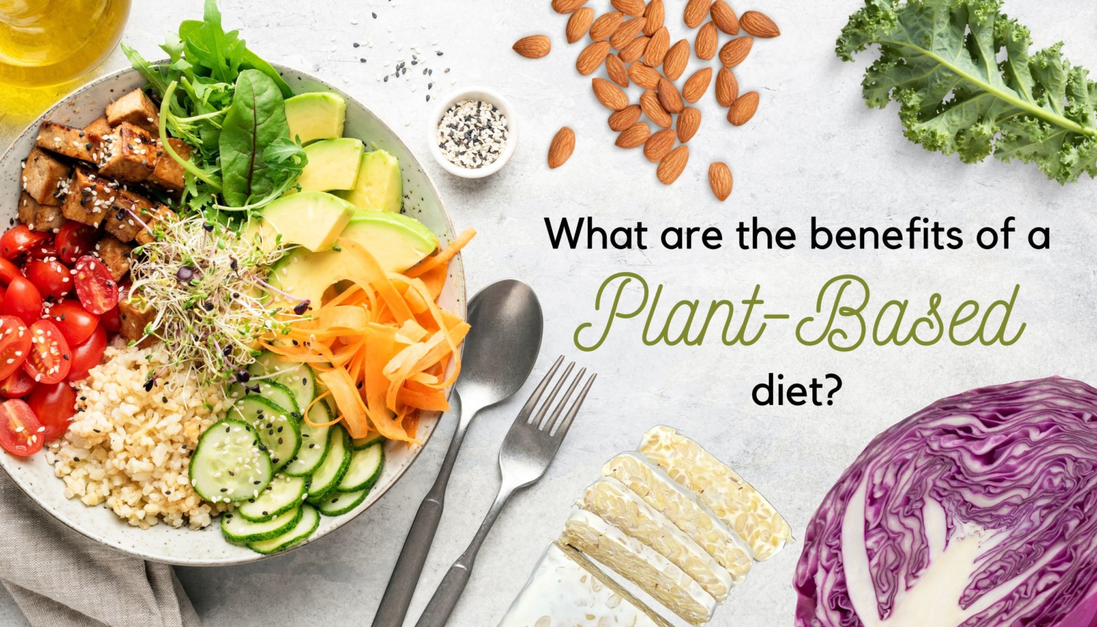 Benefits of a Plant-Based Diet - Yumm! Sauce­­­­®